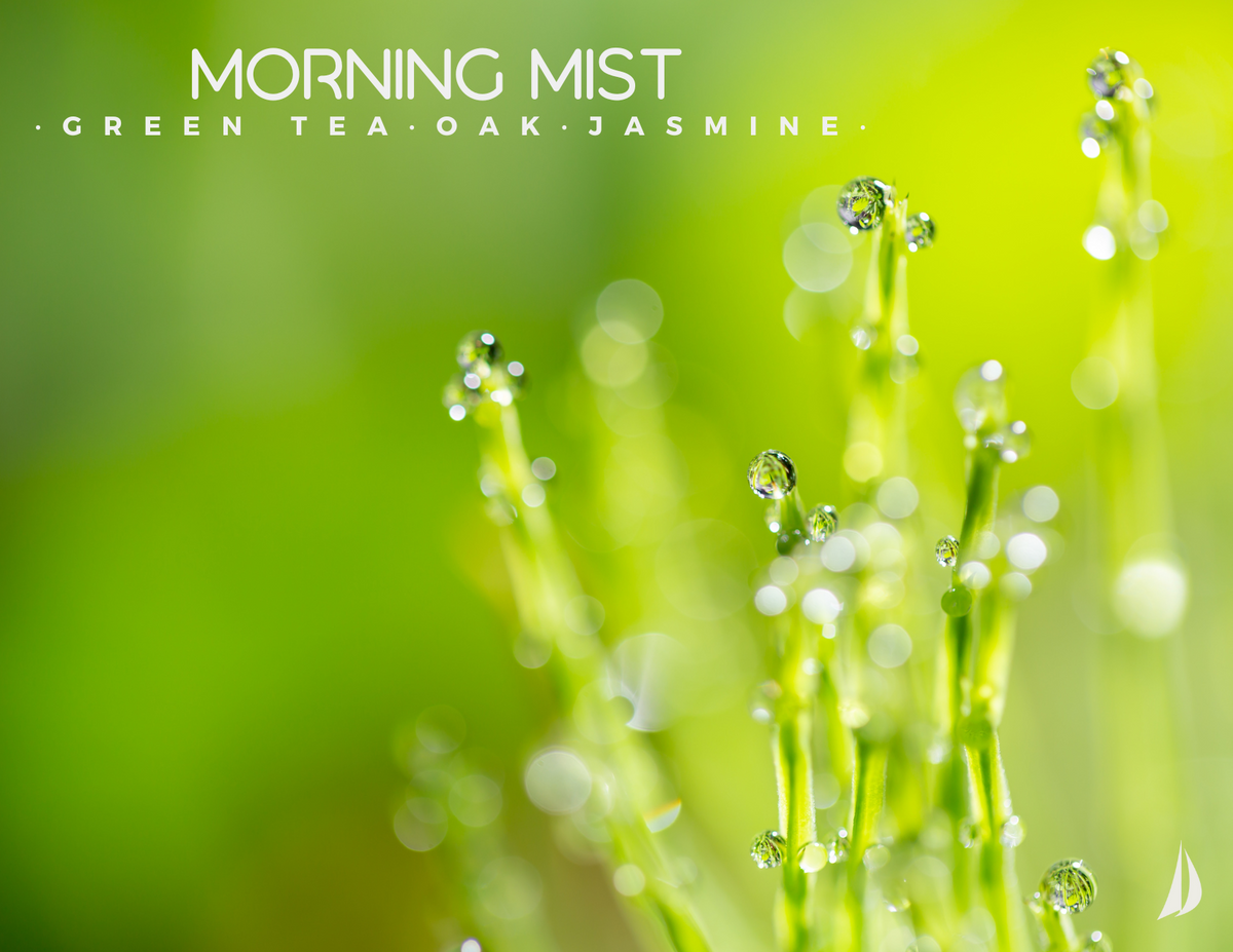MORNING MIST | Scentsail