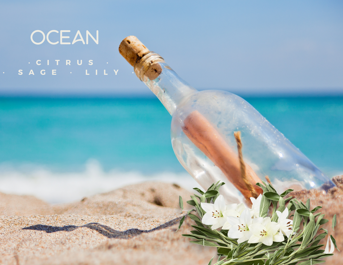 OCEAN | Scentsail